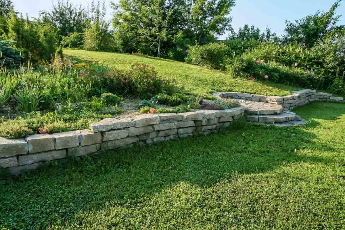 Skarpa w ogrodzie – inspiracje, aranżacje. Co sadzić na skarpie?